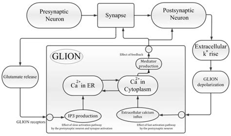 Mathematics Special Issue Mathematical Modeling Of Neurons And