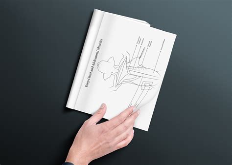 Cat Dissection Manual On Behance