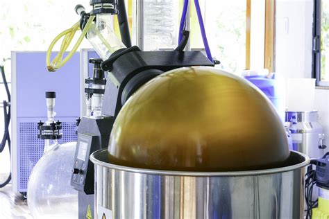 Ultrasound Extraction Reinventing Old Extraction Methods