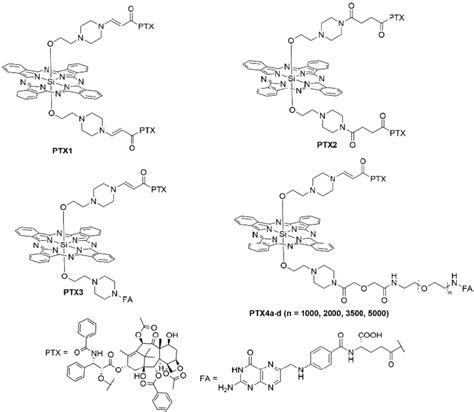 Pc Paclitaxel Conjugates Exhibiting Both Traditional And Download