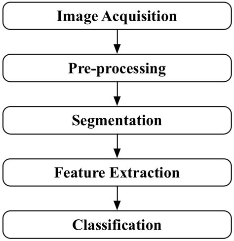 Ocr Development Process Download Scientific Diagram
