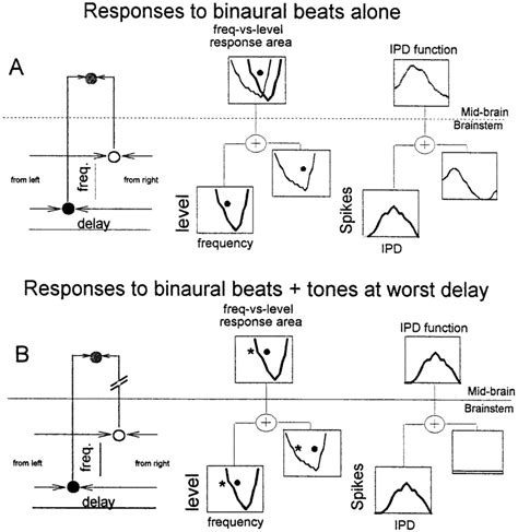 Schematic Representation Of The Convergence Hypothesis And How It Has Download Scientific
