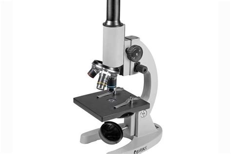 Compound Light Microscope Parts And Functions Quiz Shelly Lighting