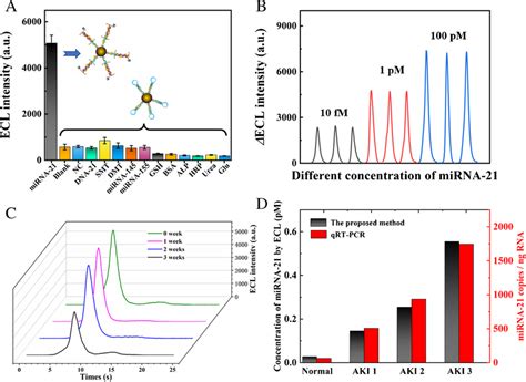 A Specificity Of The Ecl Biosensor The Concentration Of Mirna 21 Was Download Scientific