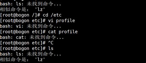 centos7 linux 中提示 bash ls 未找到命令 二灯大师 博客园