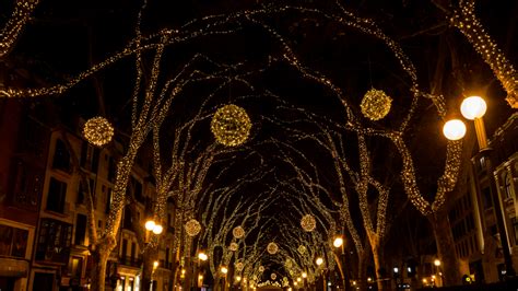 Mallorca Holiday Paradise During Christmas