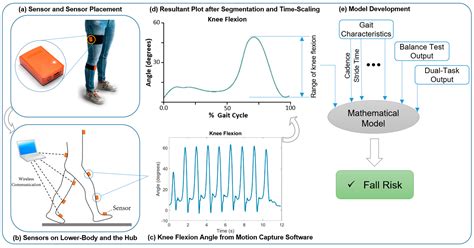 Fall Risk Assessment In Stroke Survivors A Machine Learning Model Using Detailed Motion Data