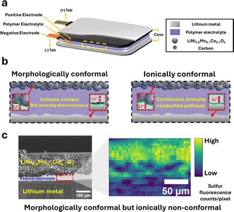 Improving Ionic Conformality Across Polymer Electrolyteelectrode