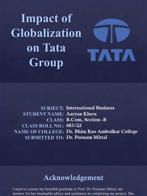 Ib Project 2 Download Free Pdf Supply Chain Mergers And Acquisitions