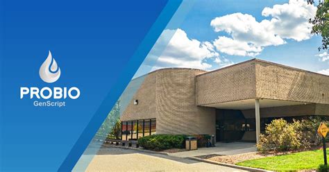 Genscript Probio On Linkedin Plasmid Manufacture