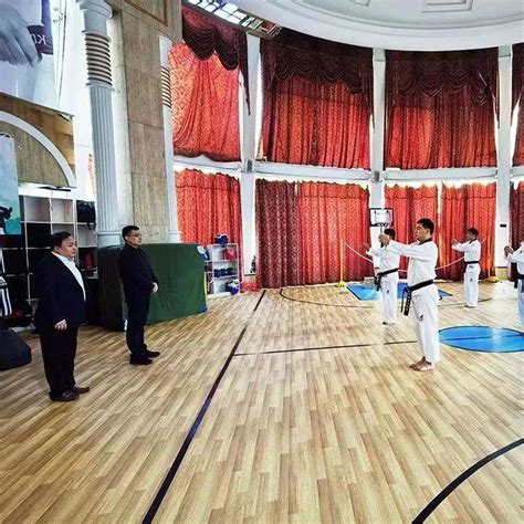 万亿城市 青年建功丨共青团石家庄市委、石家庄市青年联合会一行到河北省跆爵跆拳道馆走访调研 体育 比赛 青年