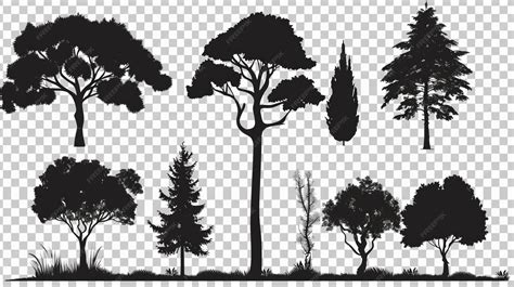 Premium Photo The Silhouettes Of Trees Represent Different Types Of