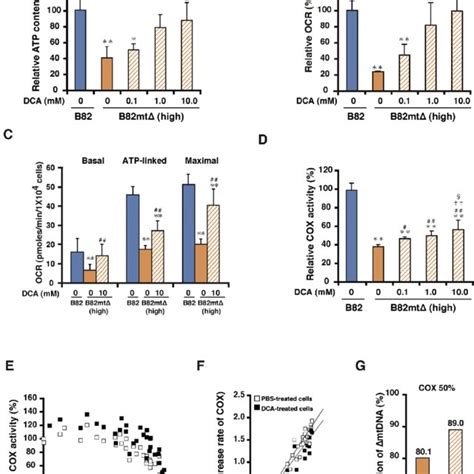 Diagnostic Algorithm For Suspected Mitochondrial Disease Download Scientific Diagram