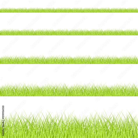 Grass Border Seamless Pattern Set Spring Collection Isolated On
