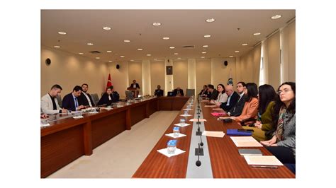 ქართული გერმანული და საერთაშორისო სისხლის სამართლის ინსტიტუტი