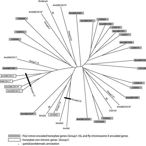 Phylogenetic Tree Of Glucose Methanol Choline Gmc Oxidoreductases Of
