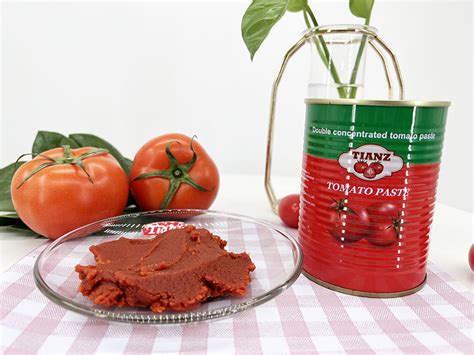 Tianz Canned Tomato Paste 400g Brix28 30 Tomato Pastetomato Paste