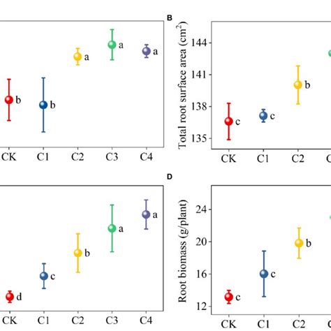 Effect Of Biochar Addition On The Architecture Of Maize Roots