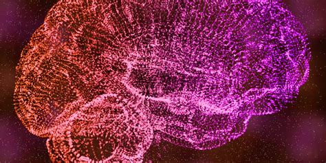 Psychedelics A Users Guide