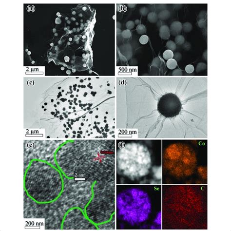 A B Sem Images C D Tem Images E High Resolution Tem Images F Download Scientific