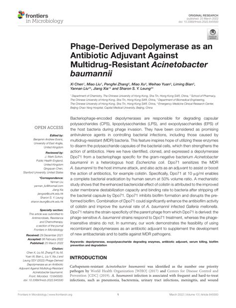 Pdf Phage Derived Depolymerase As An Antibiotic Adjuvant Against Multidrug Resistant