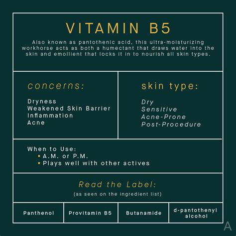 Vitamin B5 And Skin At Dora Hubbard Blog