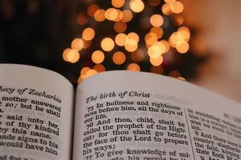 Behold An Advent Reading Plan — Calico And Twine