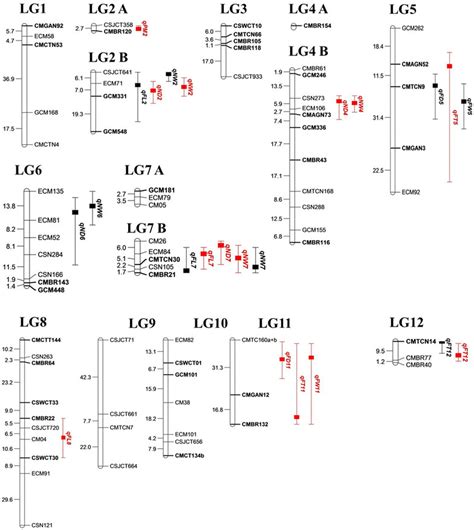Qtls For Fruit Traits And Disease Index In The Linkage Map The 95