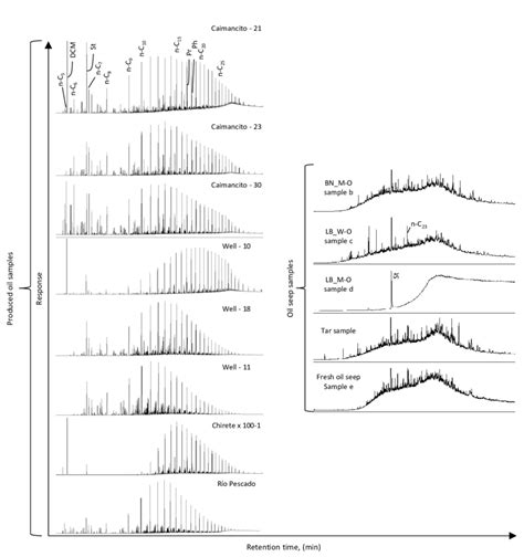 18 Gc Fid Chromatograms Of Produced Oils From The Lomas De Olmedo Download Scientific Diagram