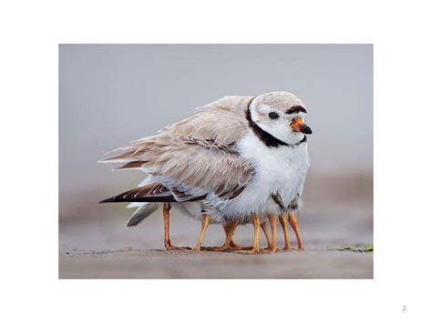 Android 5 Assignment 1 First Half Arithmetic Operations And