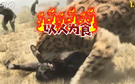 人类诞生CG370万年前的人类先祖被剑齿虎袭击李四当场牺牲 哔哩哔哩 bilibili