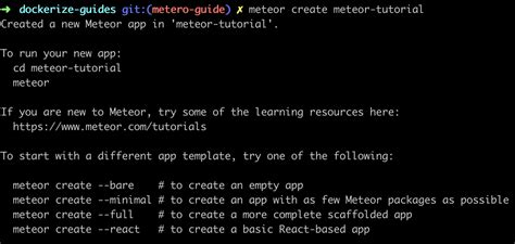 Get Started Running Meteor In A Docker Container