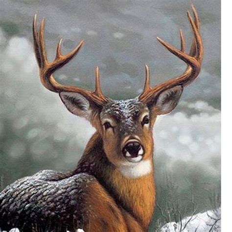 Бугат суманд жил бүр уламжлал болгон зохион байгуулдаг Олон улсын ахмадын өдөр ийг