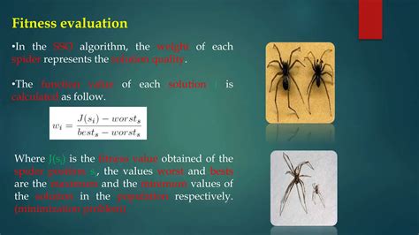 Social Spider Optimization Sso Pptx