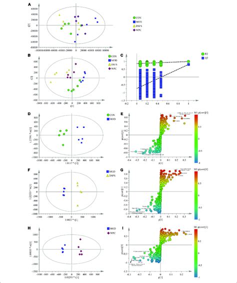 Extensive Targeted Metabolome And Multivariate Statistical Analysis Download Scientific