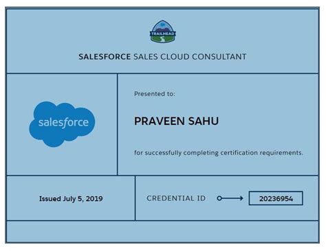 Praveen Sahu☁️ On Linkedin Salesforcesalescloud Certifiedsalescloudconsultant Salescloud…