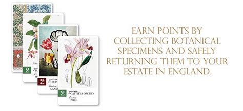 Botany Board Game Bliss