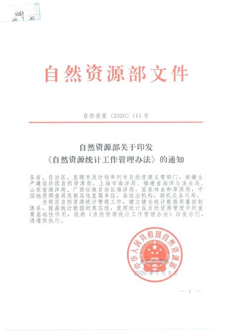 自然资源部自然资源统计工作管理办法自然资发2020111号 pdf 国土人