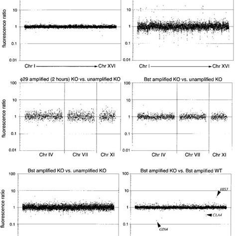 Evaluation Of Dna Amplification Bias Using Arraycgh On Human Cdna Download Scientific Diagram