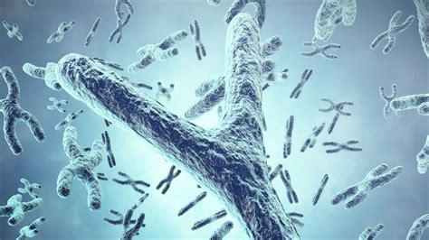 जगातून पुरुष नष्ट होण्याच्या मार्गावर Y गुणसुत्रे कमी होतायत