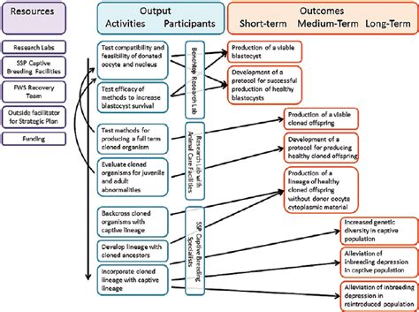 Logic Framework For Developing A Research Plan With The Goal Of Genetic