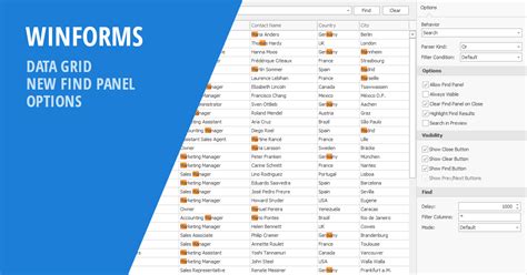 Winforms Data Grid New Find Panel Options V191 Ctp