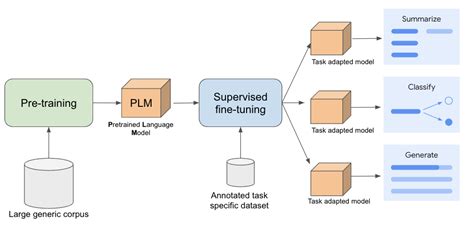 Sft Fine Tuning