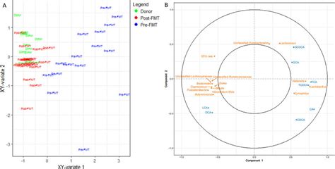 Regularised CCA RCCA Model Correlating 16S RRNA Gene Sequencing Data Download Scientific
