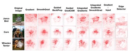 Explaining Deep Nlp Models Juliano Viana Senior Machine Learning