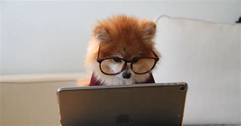 Mongodb大数据量模型设计最佳实践 Mongodb中文社区