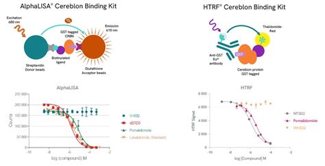 Targeted Protein Degradation Revvity