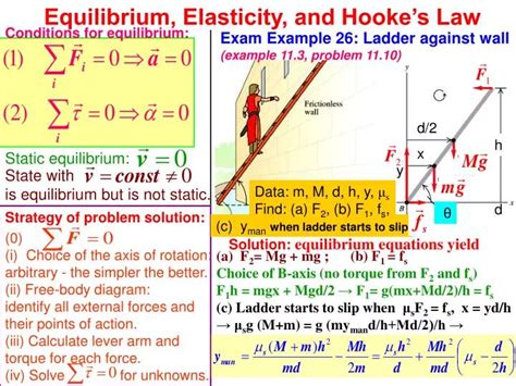 PPT Equilibrium Elasticity And Hookes Law PowerPoint Presentation ID 1769515