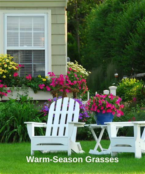 When Is The Best Time To Plant Grass Seed
