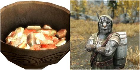 The Elder Scrolls 10 Things You Didnt Know About The Enigmatic Khajiit